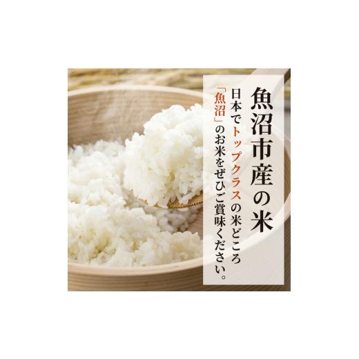 ふるさと納税 米 コシヒカリ 新潟県 魚沼市 No.5762-0489 無洗米お米マイスター厳選魚沼コシヒカリ 5kg×6ヶ月連続お届け : 4813248 : ふるさとチョイス - 通販 ...