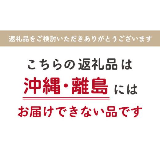ふるさと納税 ぶどう マスカット 山梨県 笛吹市 2026年発送 先行予約 絶品 シャインマスカット 3-6房約3.0kg 090-005 ...