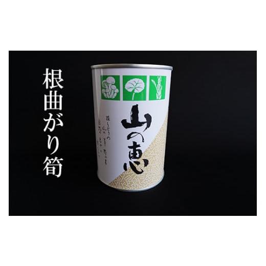 ふるさと納税 缶詰・瓶詰 野菜類 福島県 福島市 No.0549たけのこ 缶詰（根曲り筍）2缶セット : ふるさとチョイス - 通販 - Yahoo!ショッピング