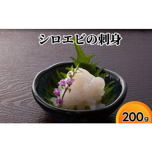 ふるさと納税 エビ 富山県 射水市 No.5683-0328 シロエビの刺身200g : 4871003 : ふるさとチョイス - 通販 - Yahoo!ショッピング