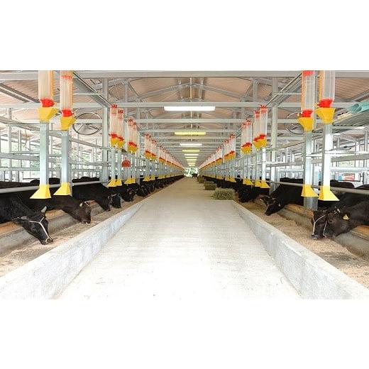 ふるさと納税 牛肉 三重県 松阪市 松阪牛 味付け肉ホルモン 1kg ( 牛肉 ブランド牛 高級 和牛 国産牛 松阪牛 松坂牛 焼肉 焼き肉 ...