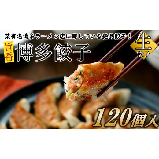 ふるさと納税 福岡県 新宮町 AB285.【創業40年の老舗が誇る味わい】博多餃子120個 :4994704:ふるさとチョイス - 通販 ...