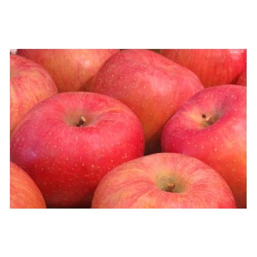 ふるさと納税 りんご 福島県 福島市 No.2064 りんご「サンふじ」家庭用 約3kg 2024年度発送 : 5017662 : ふるさとチョイス - 通販 - Yahoo!ショッピング