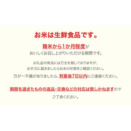 ふるさと納税 米 はえぬき 山形県 村山市 先行予約 新米 10kg 5kg×2 精米 令和7年産 2025年12月下旬 ja-haxxa10 ...