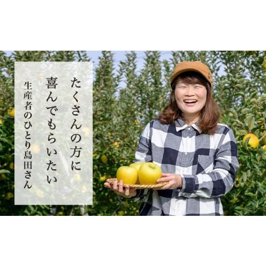 ふるさと納税 りんご 長野県 小布施町 シナノゴールド 秀以上 約3kg 6〜12玉 [おぶせファーマーズ] 果物 フルーツ 林檎 リンゴ 長野県産 信州産 令… : ふるさとチョイス ...