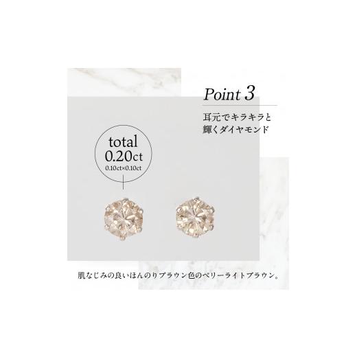 ふるさと納税 山梨県 甲府市 【即納】プラチナ 0.10X0.10CT ダイヤ ピアス 403155 :5055843:ふるさとチョイス ...