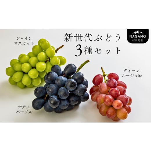 ふるさと納税 ぶどう マスカット 長野県 松川町 TK05-25A プレミアムスリー（クイーンルージュ?／シャインマスカット／ナガノパープル）約1.5kg／2025… : ふるさとチョイス ...