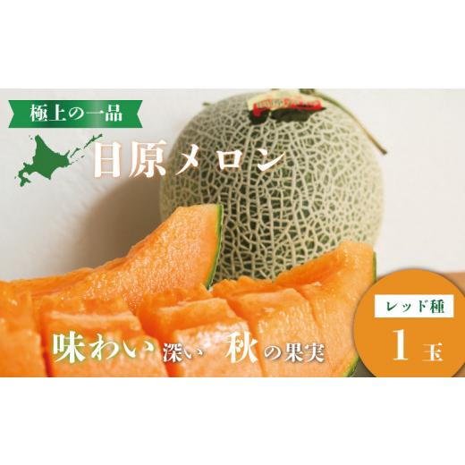 ふるさと納税 極上の一品「日原メロン（レッド種）」（1.7kg相当×1玉 ） C041 :5061518:ふるさとチョイス - 通販 - Yahoo!ショッピング