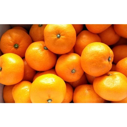 ふるさと納税 果物類 みかん 和歌山県 上富田町 秀品 和歌山有田みかん約5kg（S〜Lサイズ混合） 2024年11月中旬頃より順次発送 TM95 : 5114421 : ふるさとチョイス ...