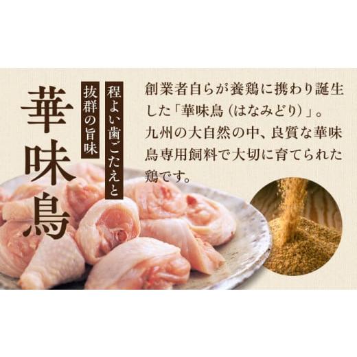 ふるさと納税 \1週間以内に発送／【累計100万食突破！】博多華味鳥 水炊き セット 3〜4人前 水たき 糸島 ／ トリゼンダイニング ...