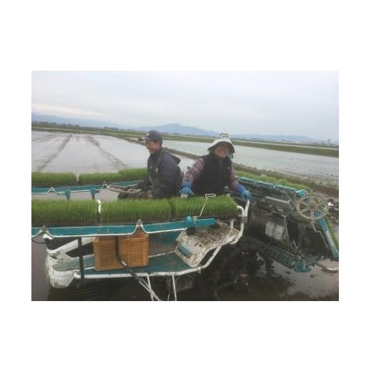 ふるさと納税 【令和5年産・玄米】ecofarmすがわらの有機JAS認証つや姫10kg 【令和5年産】 :5117076:ふるさとチョイス ...