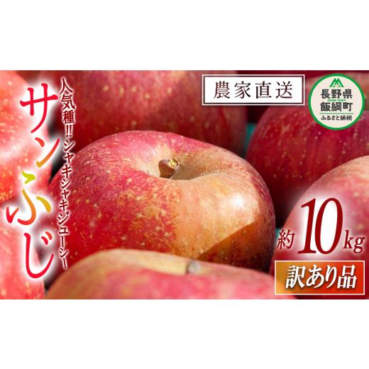 ふるさと納税 りんご 長野県 飯綱町 サンふじ 訳あり 10kg 関農園 沖縄県への配送不可 2025年12月上旬頃から2025年12月下旬頃 ...