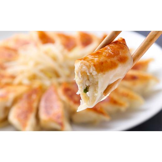 ふるさと納税 静岡県 浜松市 浜松餃子のまっちゃん餃子人気3種 計120ヶセット【配送不可：沖縄県・離島】 [No.5786-3953] :5162811:ふるさとチョイス - 通販 ...