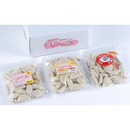 ふるさと納税 静岡県 浜松市 浜松餃子のまっちゃん餃子人気3種 計120ヶセット【配送不可：沖縄県・離島】 [No.5786-3953] :5162811:ふるさとチョイス - 通販 ...