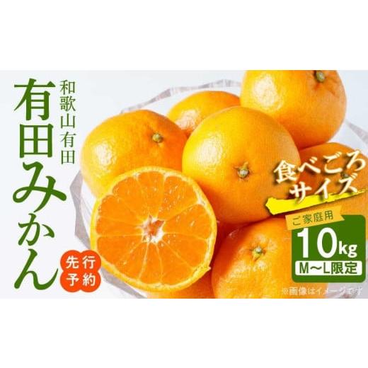 ふるさと納税 果物類 みかん 和歌山県 湯浅町 AT6310_ 2025年先行予約 ご家庭用 有田みかん 約10kg (M、Lサイズ ...