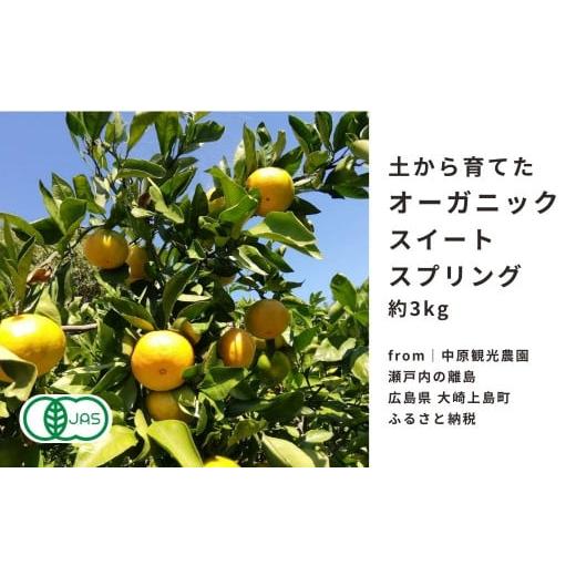 ふるさと納税 みかん・柑橘類 広島県 大崎上島町 予約 2〜3月発送 オーガニックスイートスプリング 約3kg 国産 有機JAS認証 瀬戸内 広島 大崎上島 離島 有機… : ふるさとチョイス ...