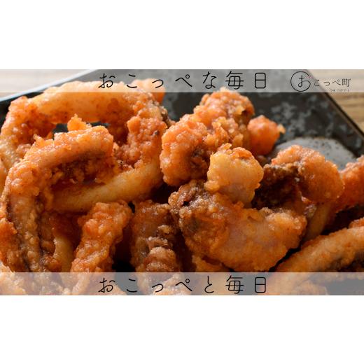 ふるさと納税 イカ 北海道 興部町 ワケあり 北海道産 イカゲソ3.0kg : ふるさとチョイス - 通販 - Yahoo!ショッピング