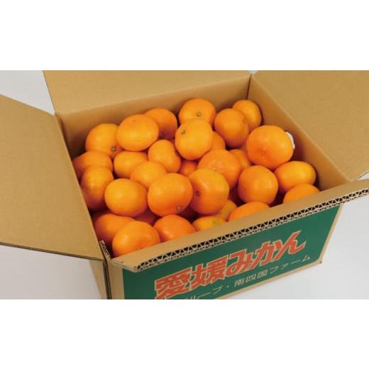 ふるさと納税 愛媛みかん 早生温州 7kg 家庭用 S~2L サイズ ミックス 南四国ファーム mikan みかん 不揃い 早生 温州 温州みかん 愛媛ミカン 愛媛蜜柑 果物 く ...