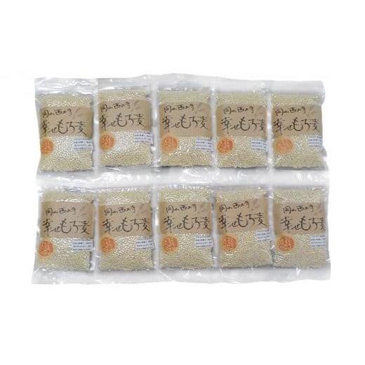 ふるさと納税 米 岡山県 岡山市 令和6年産 岡山西大寺の幸せもち麦（キラリモチ）数量限定 2kg（200g×10） : ふるさとチョイス - 通販 - Yahoo!ショッピング