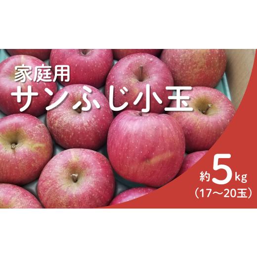 ふるさと納税 りんご 長野県 松川町 KR18-25A サンふじ 家庭用 小玉 約5kg（17〜20玉） ／ 11月下旬頃〜配送予定 ／／ 南信州 リンゴ 林檎 ふじ… : ふるさとチョイス ...