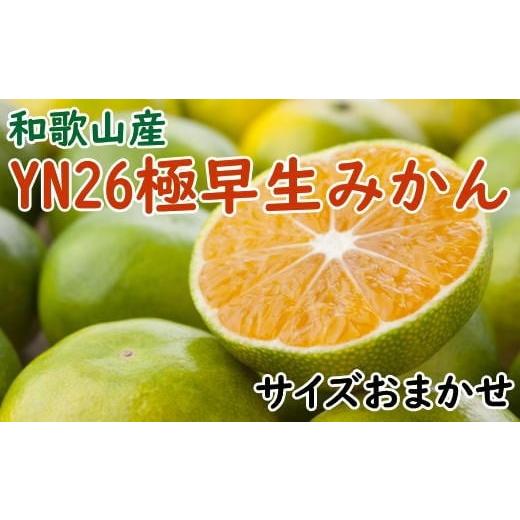 ふるさと納税 果物類 みかん 和歌山県 和歌山市 産直 YN26極早生みかん約5kg（2S〜Mサイズおまかせ） 2025年9月中旬頃より順次発送 TM13 : 5292015 : ふるさと ...