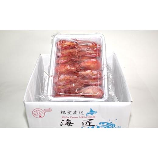 ふるさと納税 A-81011 【北海道根室産】北海シマエビ500g(24〜30尾) :5303201:ふるさとチョイス - 通販 - Yahoo!ショッピング