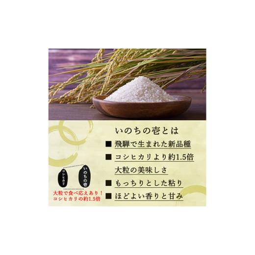 ふるさと納税 無洗米 長野県 小諸市 新米 定期便 6ヶ月 ベストファーマーズ賞受賞 いのちの壱 5kg 令和7年産 米 お米 5キロ 6か月 ...