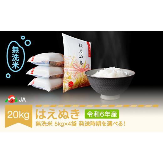 ふるさと納税 米 はえぬき 山形県 村山市 新米 米 20kg 5kg×4 はえぬき 無洗米 令和6年産 2025年2月下旬 ja ...