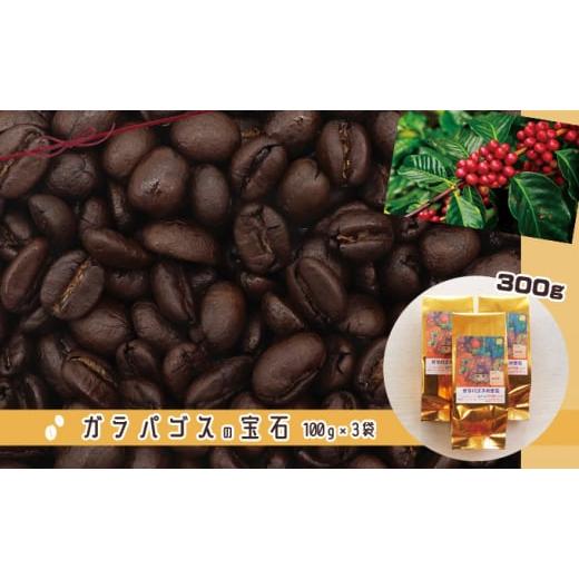 ふるさと納税 香川県 丸亀市 [No.5341-0394]アームズメソッド焙煎 ガラパゴスの宝石Coffee :5354233:ふるさとチョイス - 通販 - Yahoo!ショッピング