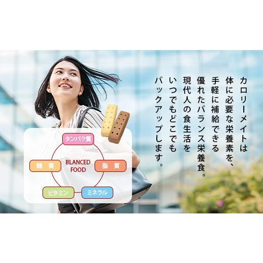 ふるさと納税 焼菓子・チョコレート クッキー 徳島県 那賀町 大塚製薬 カロリーメイト ブロック 4本入り×30箱 フルーツ味 [徳島 那賀 ...