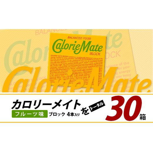 ふるさと納税 【大塚製薬】カロリーメイト ブロック 4本入り×30箱 ≪フルーツ味≫[徳島 那賀 カロリーメイト フルーツ ビタミン ミネラル ...