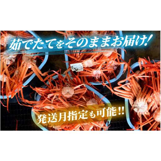 ふるさと納税 カニ ずわいガニ 福井県 越前町 浜茹で 越前産 紅ずわいがに × 3杯 紅ズワイガニ カニ 蟹 姿 ボイル 福井県 5月発送 e22-x003_05 5月発送 ...