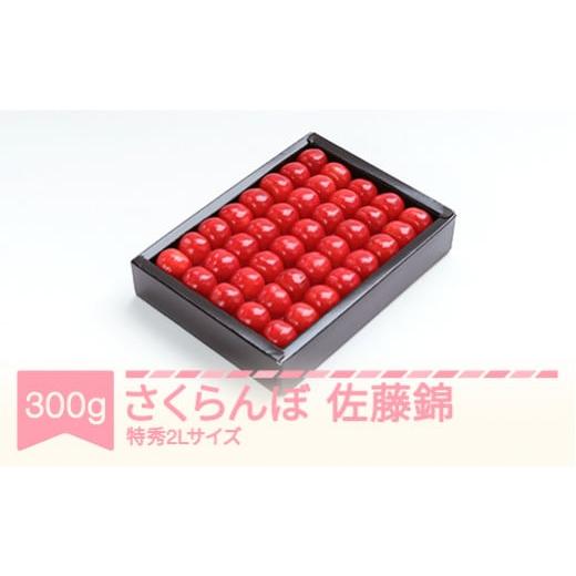 ふるさと納税 果物類 さくらんぼ 山形県 村山市 先行予約 佐藤錦 特秀2Lサイズ プレゼント ギフト 化粧箱入 300g 2026年産 令和8年産 山形県産 ns-… : ふるさとチョイス ...