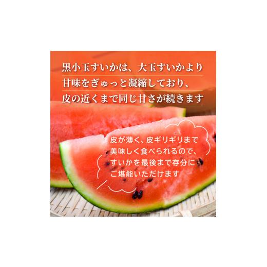 ふるさと納税 スイカ 茨城県 鉾田市 薄皮で甘い 黒小玉スイカ「あんみつ姫」 2玉／5kg〜6kg／2L〜3Lサイズ : ふるさとチョイス - 通販 - Yahoo!ショッピング