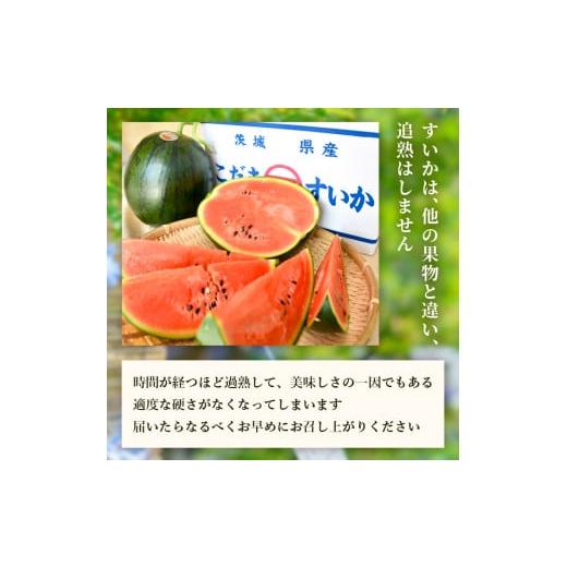 ふるさと納税 スイカ 茨城県 鉾田市 薄皮で甘い 黒小玉スイカ「あんみつ姫」 2玉／5kg〜6kg／2L〜3Lサイズ : ふるさとチョイス - 通販 - Yahoo!ショッピング