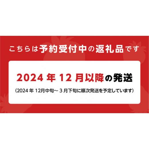 ふるさと納税 いちご 福岡県 久留米市 うるう農園のあまおうサイズ色々 4パック（1140g）_サイズ色々 特別栽培認証 あまおう 苺 4パック 計 1140g うるう農園 ...