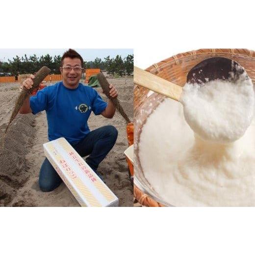 ふるさと納税 野菜類 鳥取県 北栄町 321．ねばりっこ 3〜4本 ｜ 新芋 ながいも 長芋 鳥取県産 鳥取県オリジナル品種 山芋 2024年 ...