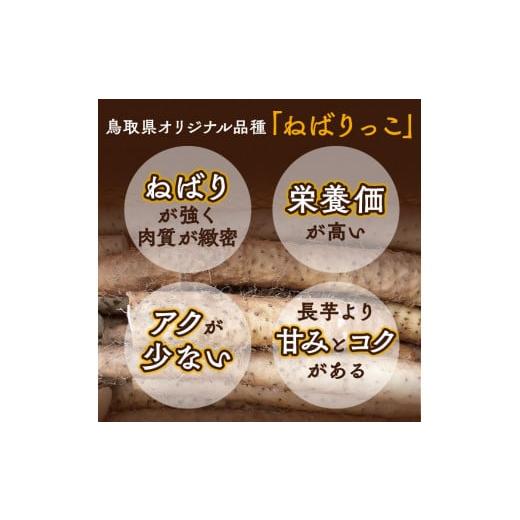 ふるさと納税 野菜類 鳥取県 北栄町 321．ねばりっこ 3〜4本 ｜ 新芋 ながいも 長芋 鳥取県産 鳥取県オリジナル品種 山芋 2024年 ...