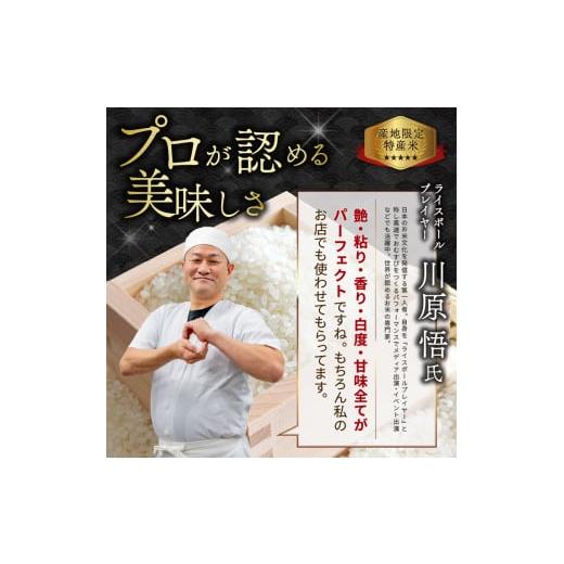 ふるさと納税 米 ゆめぴりか 北海道 東川町 R7年産新米 3ヵ月定期便 東川米ゆめぴりか「無洗米」10kg（2026年2月下旬より発送予定） 無洗米3回定期便（2026… : ふるさと ...