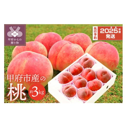 ふるさと納税 もも 山梨県 甲府市 〈2025年度配送分〉甲府市産 桃 約3kg（8〜12玉） 山梨 ピーチ 3kg フルーツ 甘味 ジューシー 山梨県産 フルーツ王… : ふるさとチョイス ...