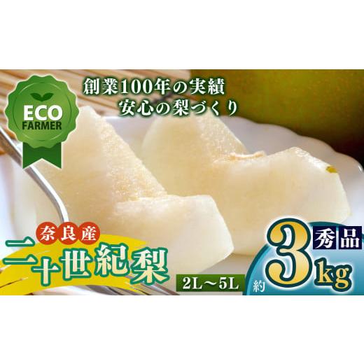 ふるさと納税 梨 奈良県 大淀町 A17 先行予約 南陽園の二十世紀梨 おみやげ桜箱（約3kg） 2L〜5L 秀品 | 数量限定 梨園直送 期間限定 果物 くだもの フルーツ … : ふるさと ...