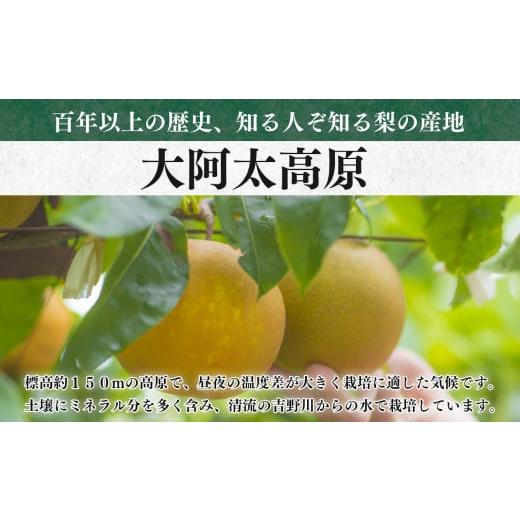 ふるさと納税 梨 奈良県 大淀町 A17 先行予約 南陽園の二十世紀梨 おみやげ桜箱（約3kg） 2L〜5L 秀品 | 数量限定 梨園直送 ...