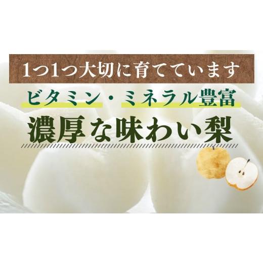 ふるさと納税 梨 奈良県 大淀町 A17 先行予約 南陽園の二十世紀梨 おみやげ桜箱（約3kg） 2L〜5L 秀品 | 数量限定 梨園直送 ...