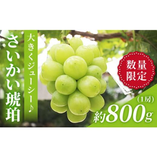 ふるさと納税 ぶどう マスカット 長崎県 西海市 先行予約 さいかい琥珀（雄宝）約800g（1房） 山田果樹園 CCX005 ブドウ シャイン ...