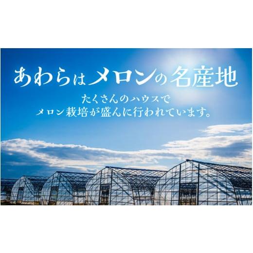 ふるさと納税 メロン メロン赤肉 福井県 あわら市 先行予約 マルセイユメロン 2玉入 4Lサイズ 2026年6月中旬より順次発送 aw003-a007 : ふるさとチョイス - 通販 ...