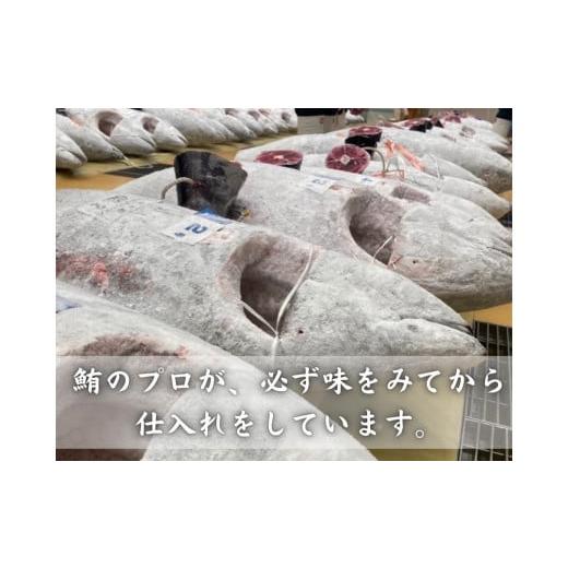ふるさと納税 神奈川県 三浦市 A10-012 【切れてるお刺身】天然本まぐろ中トロ【簡単冷水解凍】 :5432020:ふるさとチョイス ...
