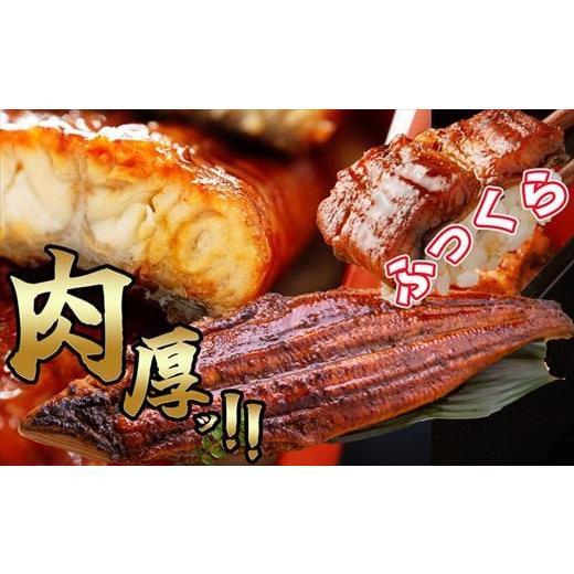 ふるさと納税 惣菜・レトルト 冷凍 福岡県 須恵町 ふっくら肉厚 有頭 うなぎ蒲焼 2尾 500g SF010-2 〜 鰻 特大 小分け ウナギ 蒲焼 蒲焼き 大人気 タレ … : ふるさと ...