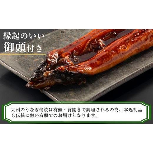 ふるさと納税 惣菜・レトルト 冷凍 福岡県 須恵町 ふっくら肉厚 有頭 うなぎ蒲焼 2尾 500g SF010-2 〜 鰻 特大 小分け ウナギ 蒲焼 蒲焼き 大人気 タレ … : ふるさと ...