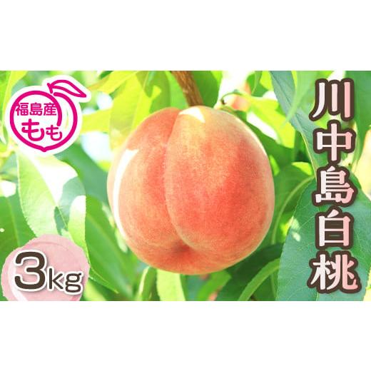 ふるさと納税 もも 福島県 須賀川市 阿部農縁 福島の桃 川中島白桃3kg(8〜12玉) ギフト・贈答用 ふくしまの完熟もも F7X-0051 : ふるさとチョイス - 通販 - Yahoo ...