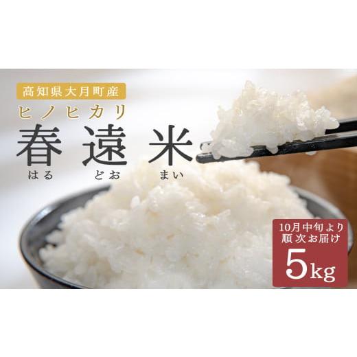 ふるさと納税 米 高知県 大月町 大月町産 ブランド米 春遠米(ヒノヒカリ) 5kg : ふるさとチョイス - 通販 - Yahoo!ショッピング